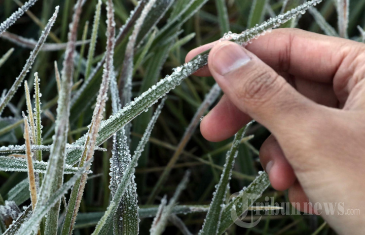 Fenomena embun beku di Dieng