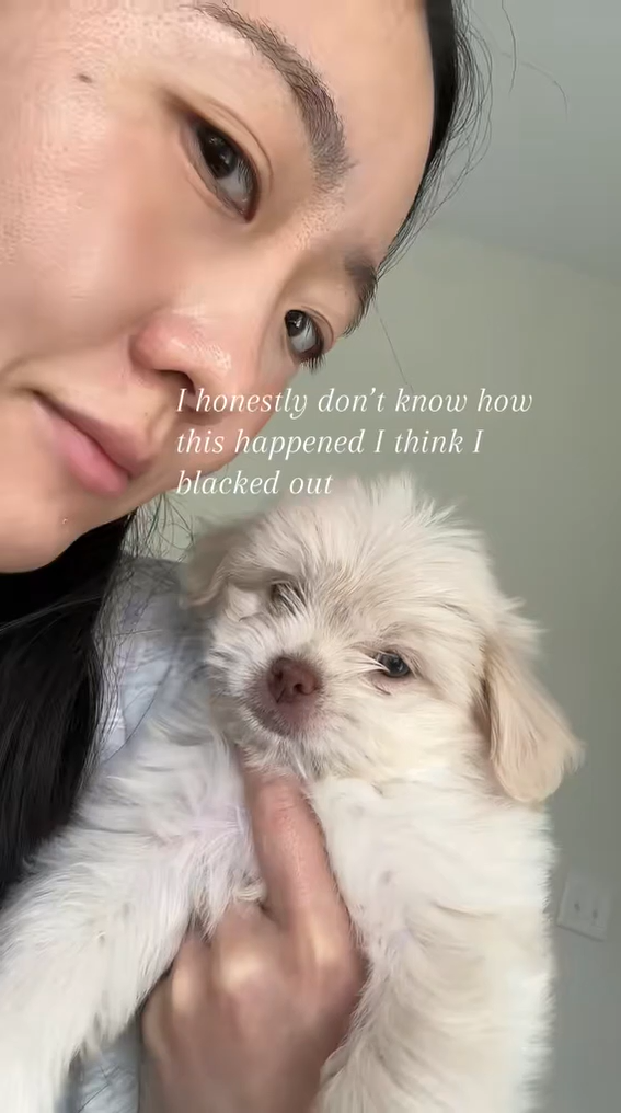 Girl surprises parents with a puppy