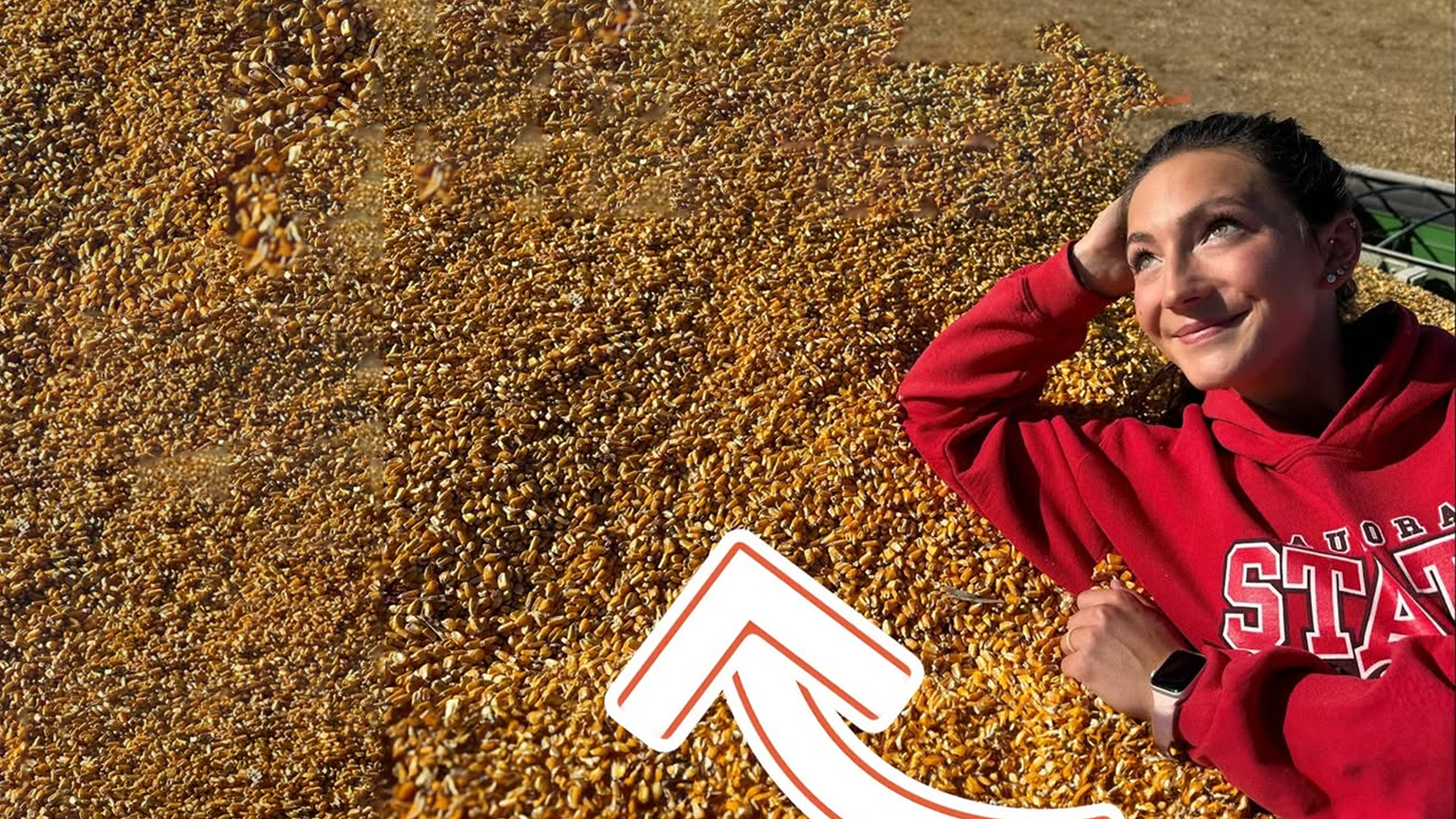 From sunup to sundown: All about corn