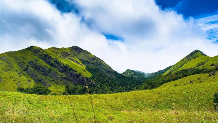 8 Kerala hill stations that are perfect summer escape: From Munnar to ...