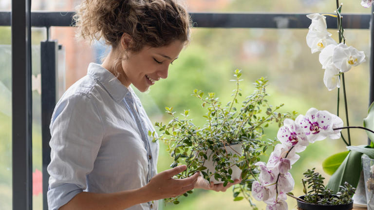 Why talking to your garden plants isn't such a bad idea after all