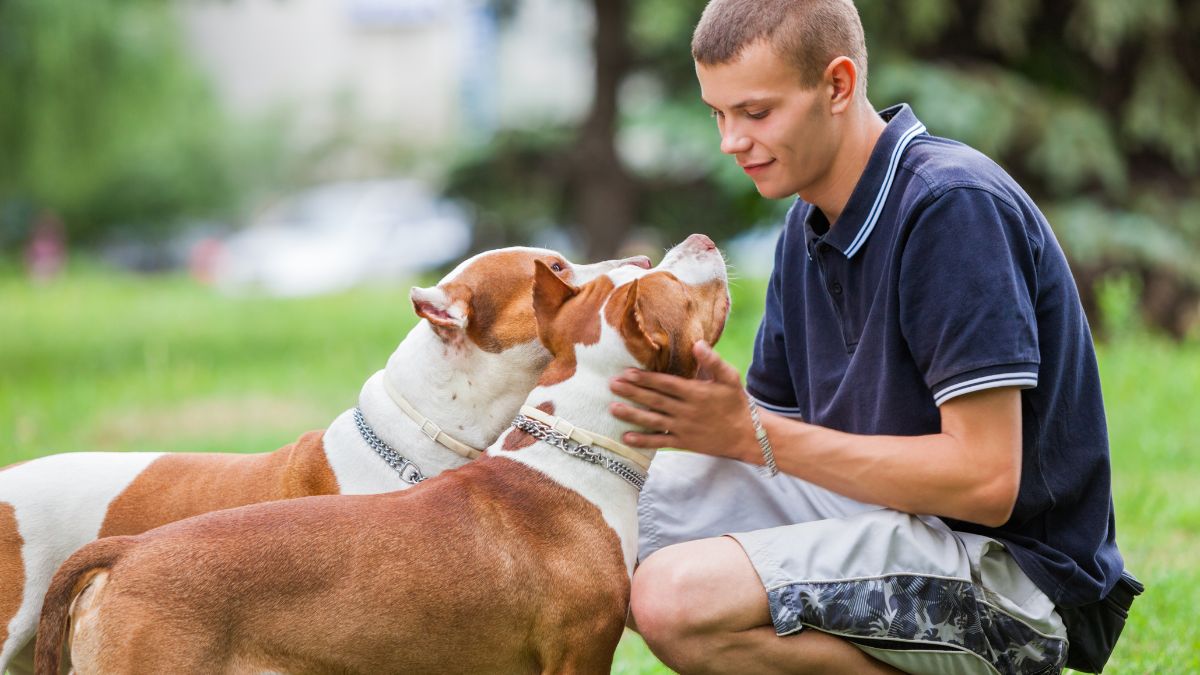 The strange things your dog does when they think you’re cheating on them