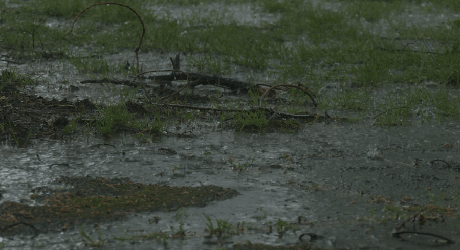 Thousands without power after storms bring strong wind across Mid-Michigan