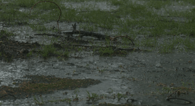 Thousands without power after storms bring strong wind across Mid-Michigan
