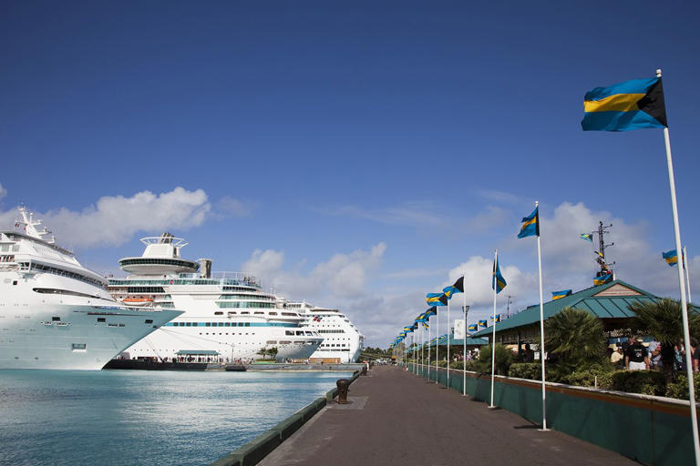 5 American cruise ship passengers arrested amid 'violent struggle' with ...