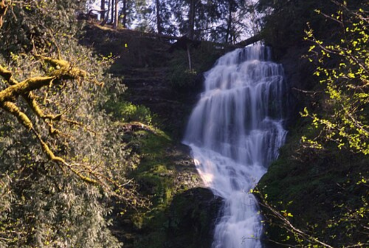 10 must-know facts about Munson Creek Falls before you visit