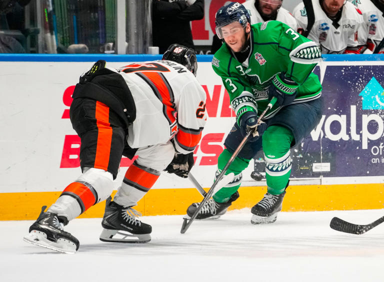 Everblades get back in Kelly Cup series with Game 3 overtime win