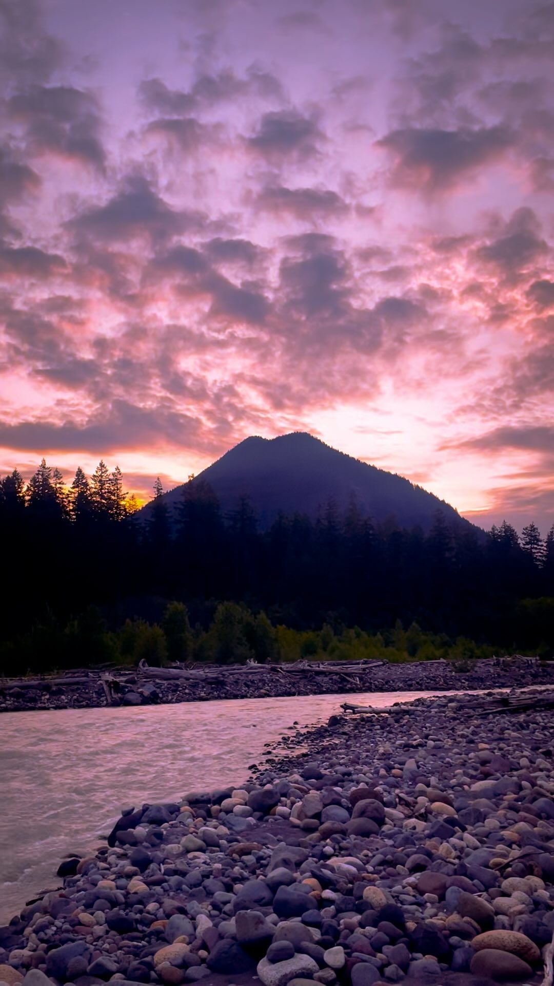 Magical sunrise views at Mount Rainier National Park