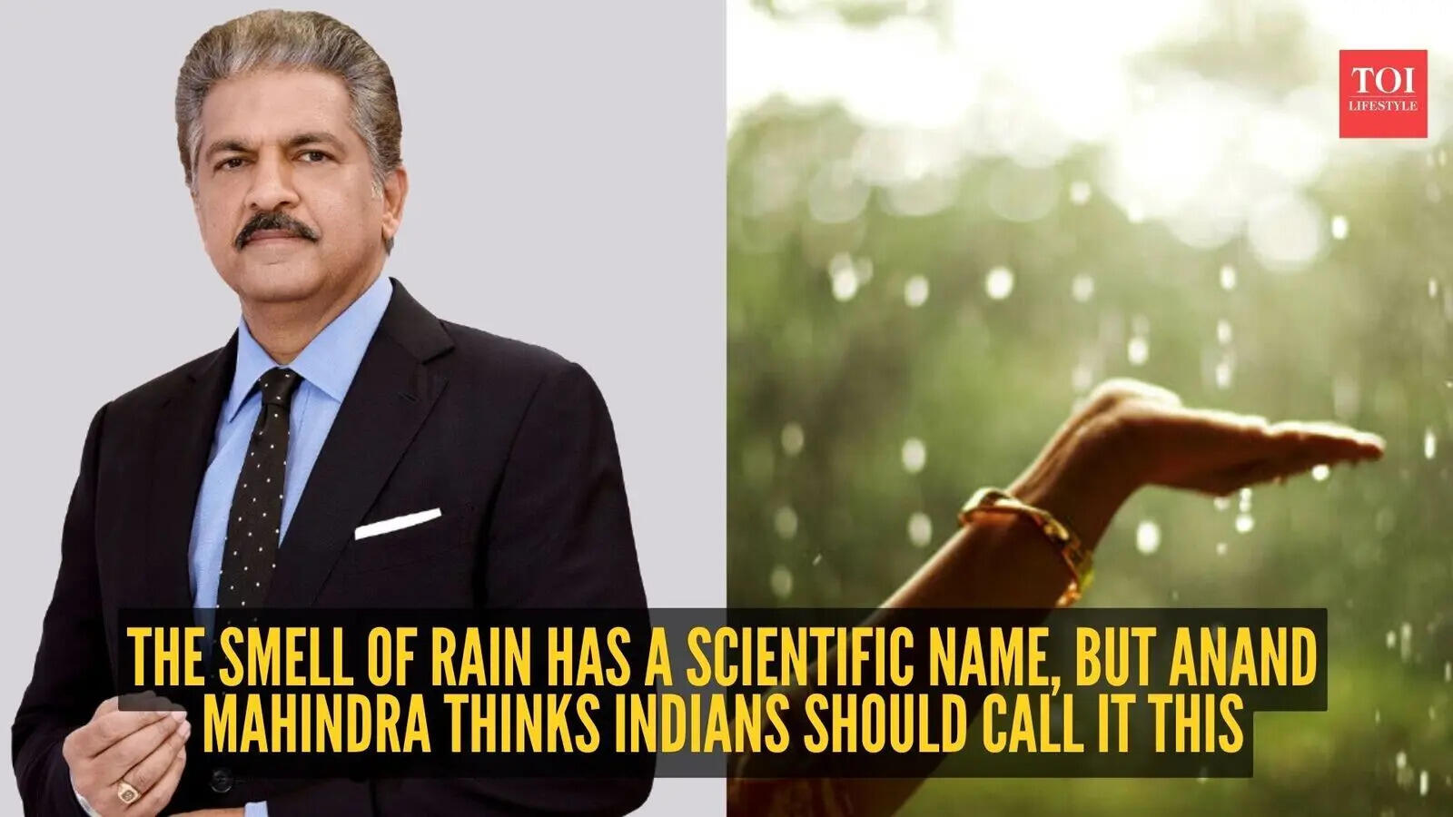 Anand Mahindra says 'petrichor' isn't enough; his desi name for the ...