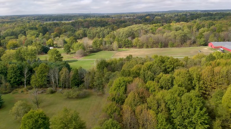 Between Pittsburgh and Akron is a rural Ohio gem with a winery ...