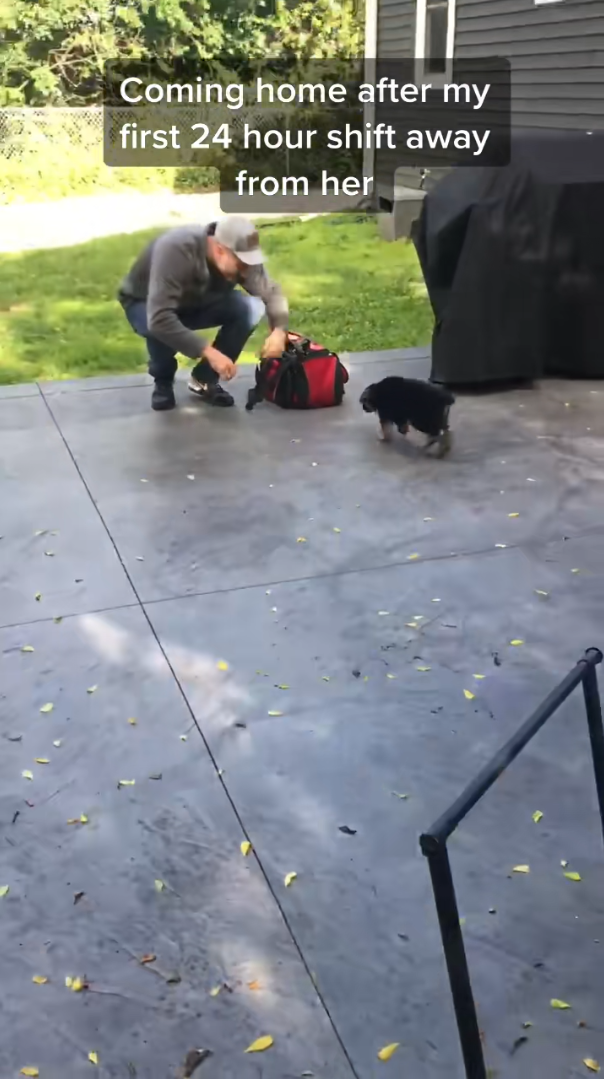 Coming home after leaving my dog for the first time in 24 hours