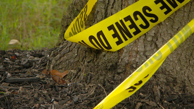 2 found dead in wooded area of Chambers County