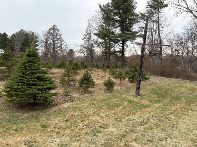 Middlefield rejects plan for nearly 1,000-panel solar array on Cherry ...