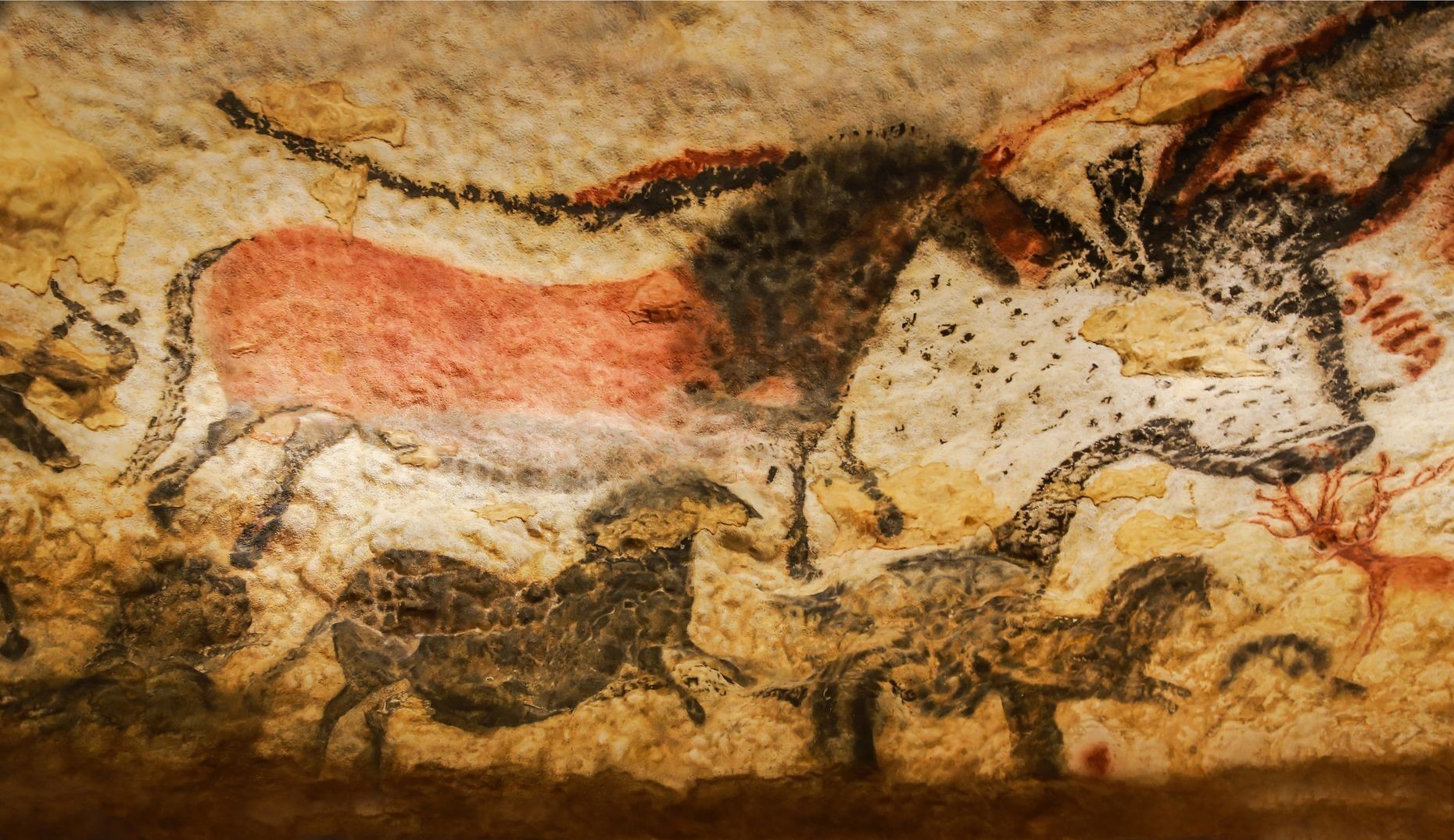 20 des plus anciennes peintures rupestres du monde
