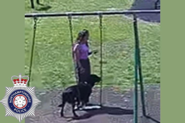 Police appeal after 'dangerous' dog bites girl in Kettering park