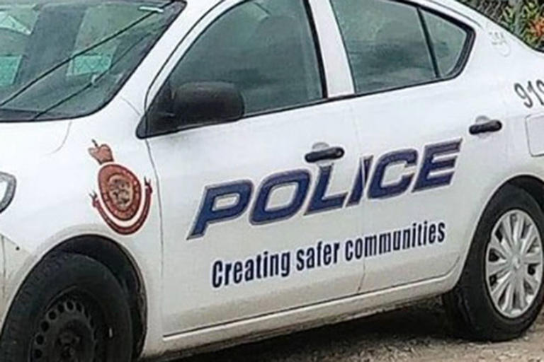 5 American cruise ship passengers arrested amid 'violent struggle' with ...