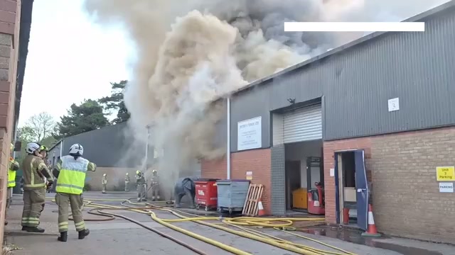Crews called to blaze at play centre as zoo animals killed