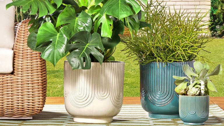 Drew Barrymore's 'charming' ceramic planters are under $12 at Walmart ...