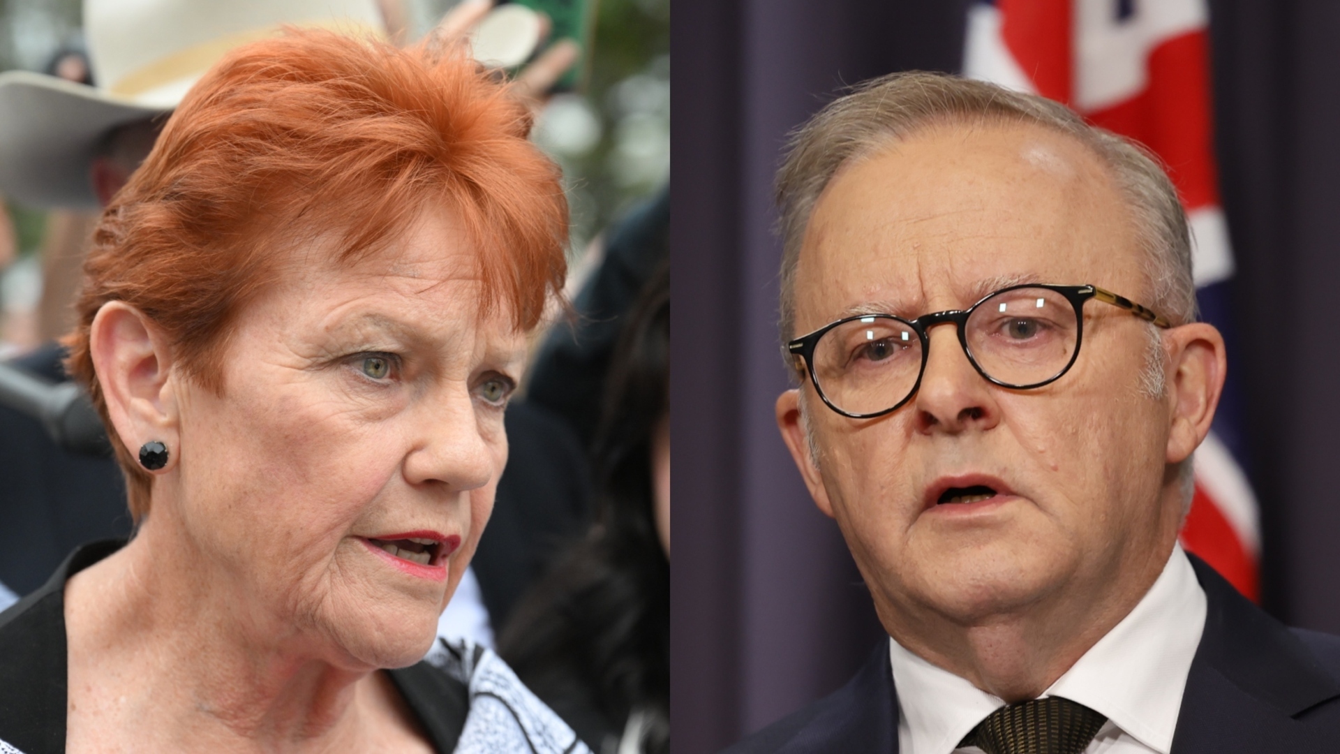 'Green-eyed monster' Albanese accused of jealousy over One Nation ...