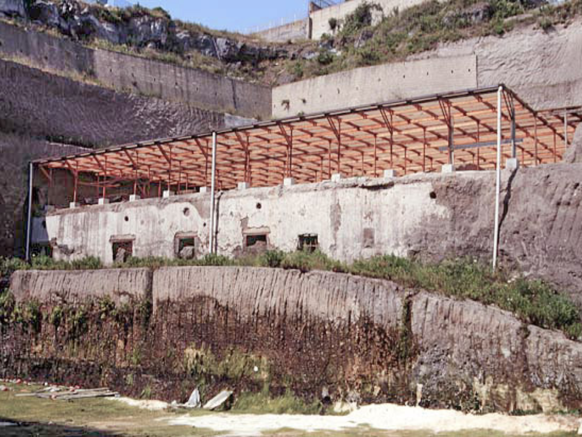 In 1750, well diggers near Herculaneum uncovered a buried villa hiding ...