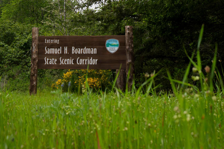 Our 8 favorite campsites on the central and southern Oregon coast