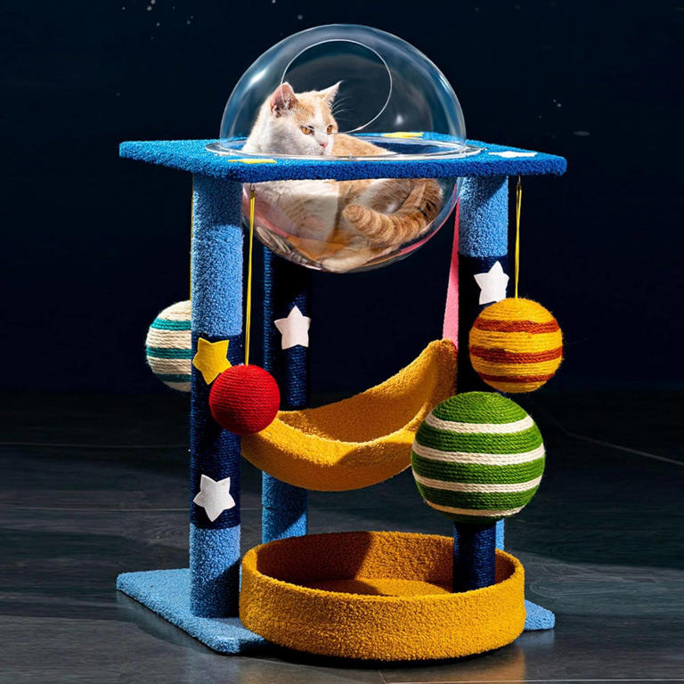 Amazon's adorable starry sky cat tree has a space capsule pod your cat ...