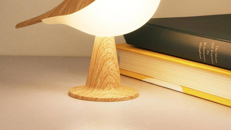 Transform your space with Amazon's $14 wooden bird lamp: Stylish and ...