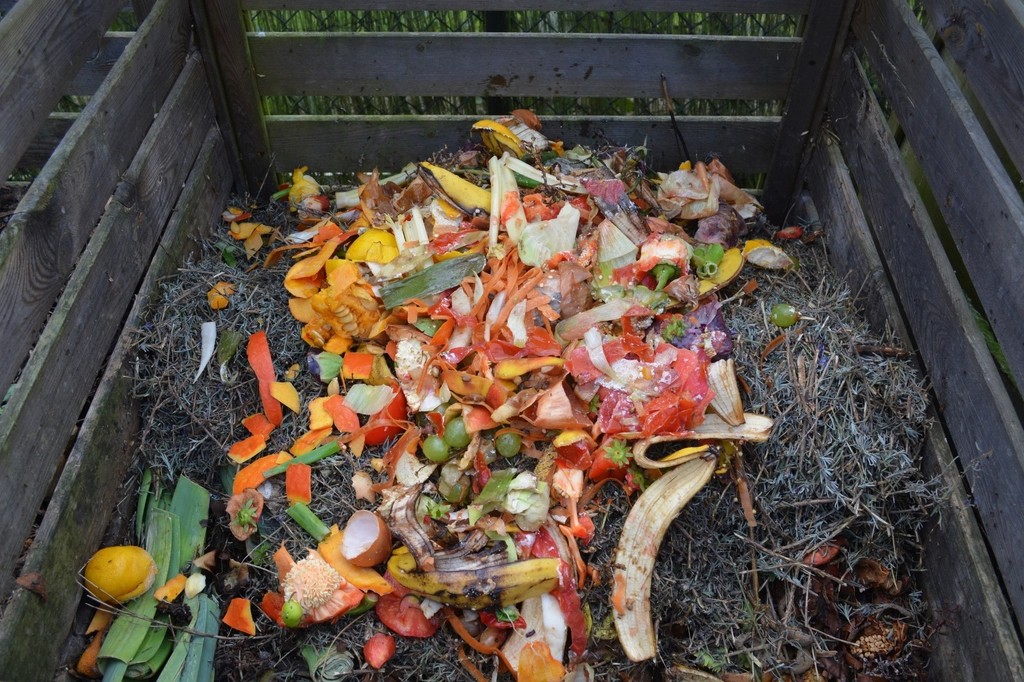 10 steps to starting a successful composting bin