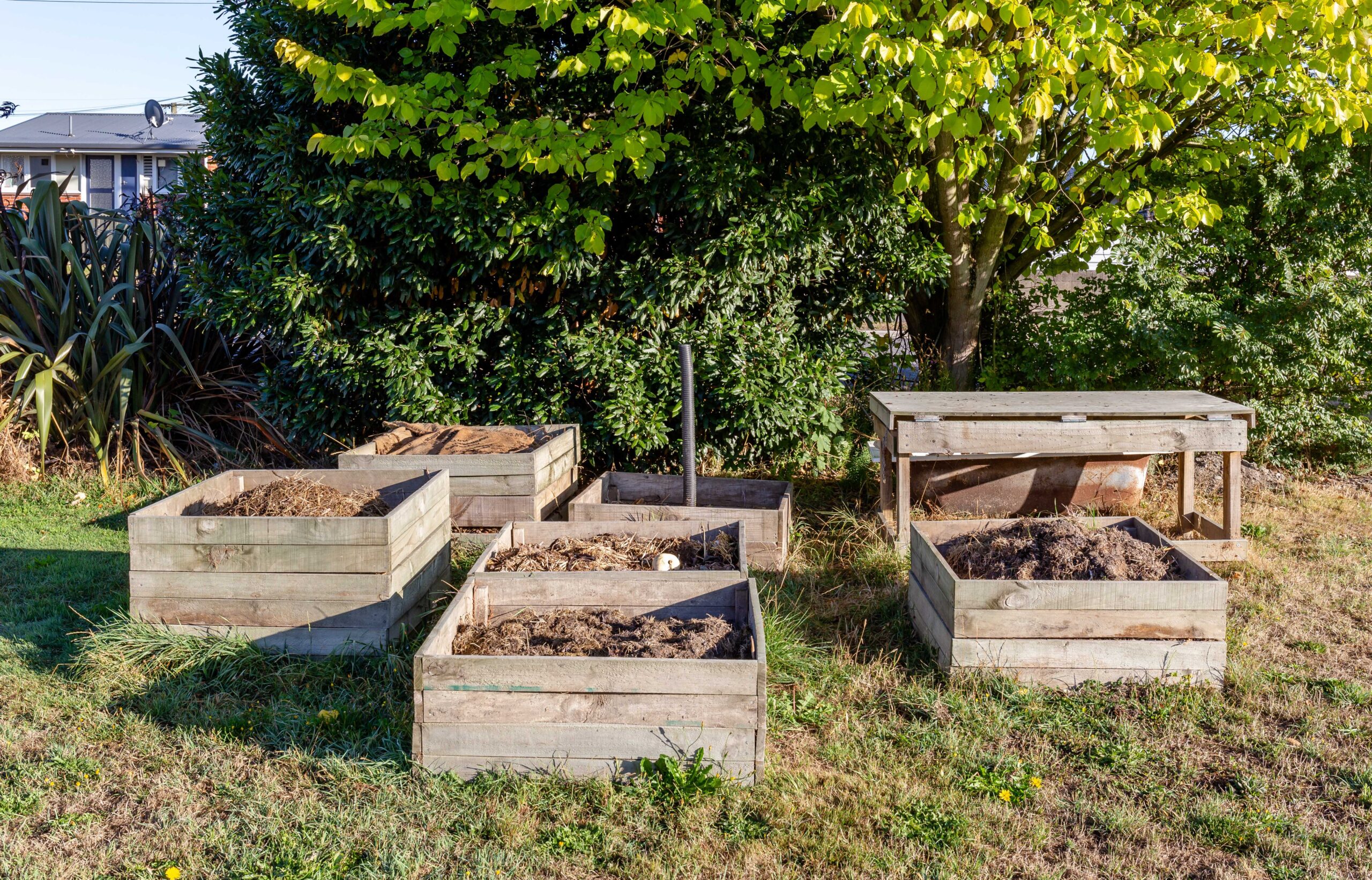 10 steps to starting a successful composting bin