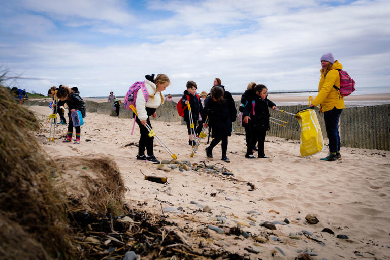 New Northumberland coast project will connect young people with nature ...