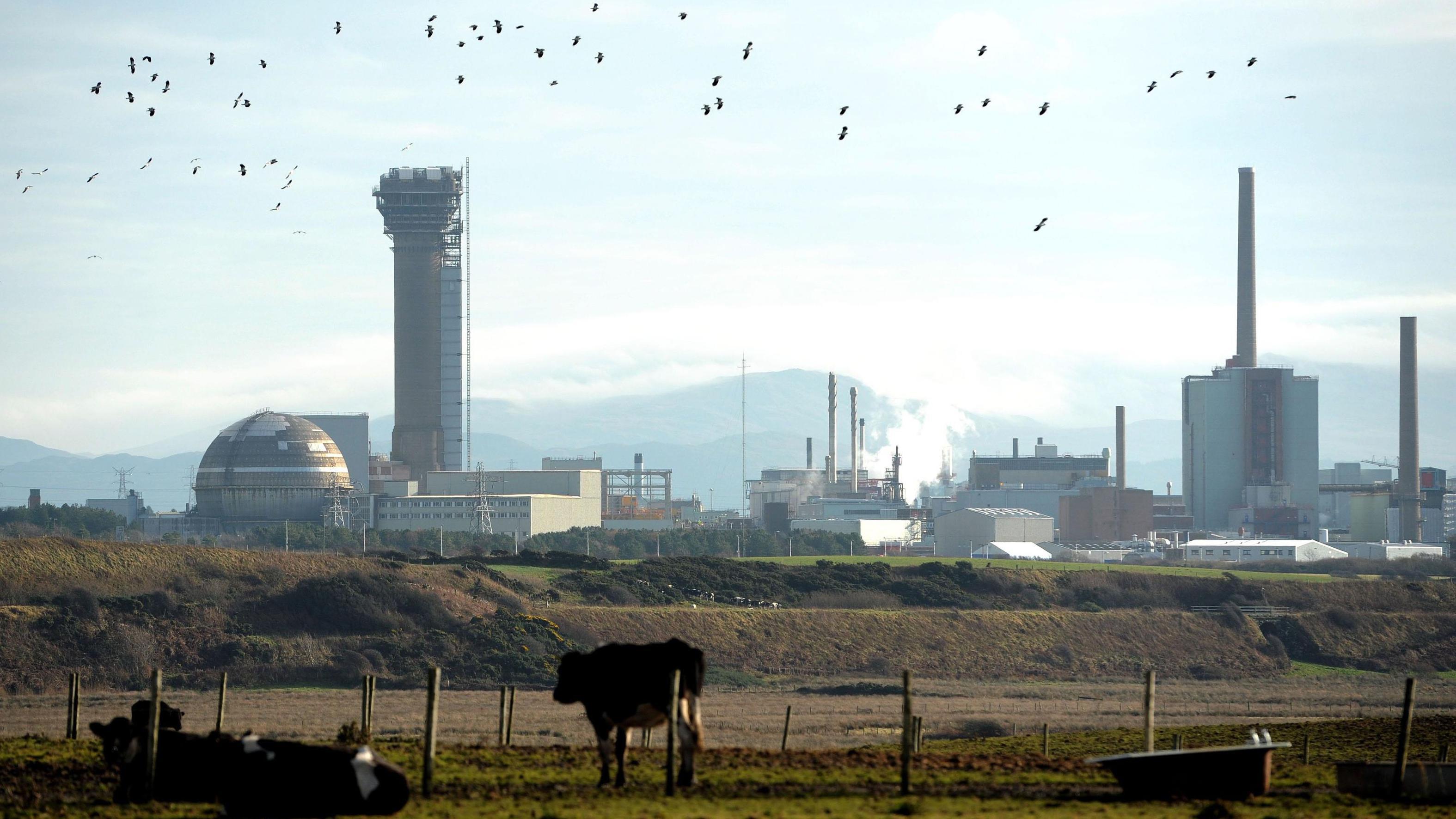 Strikes called off at nuclear site