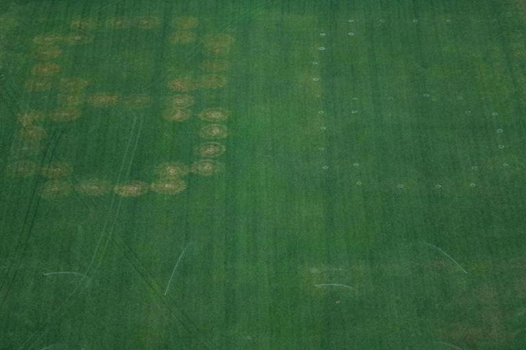 US authorities investigate huge '8647' marking on grounds of National ...