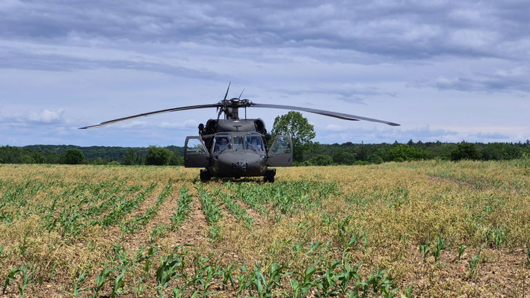 Black Hawk muss nach Zwischenfall mitten am Feld landen
