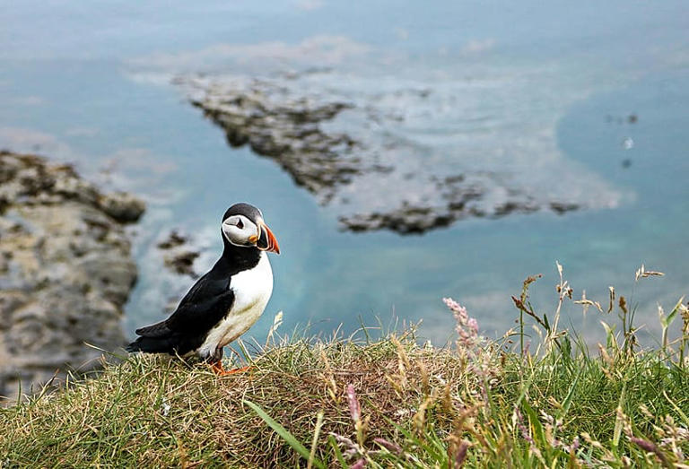 These underrated natural wonders are the world’s best-kept secrets