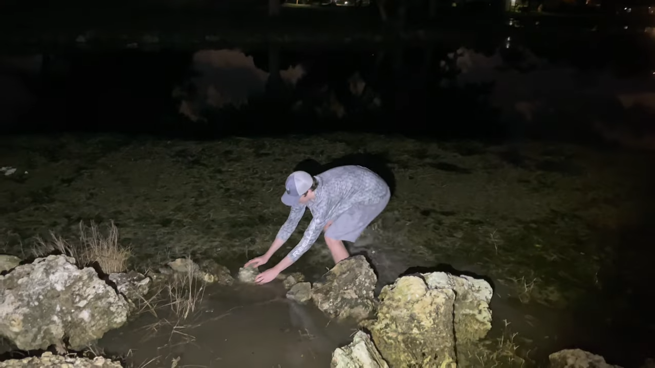 He thought it was just a night check for traps until the monster ...
