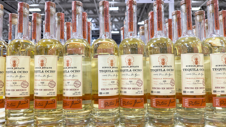 The 12 best tequila brands you might not have heard of