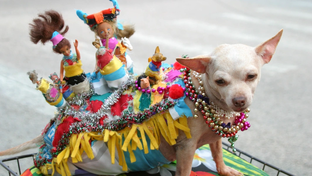 15 small dog breeds that stay tiny