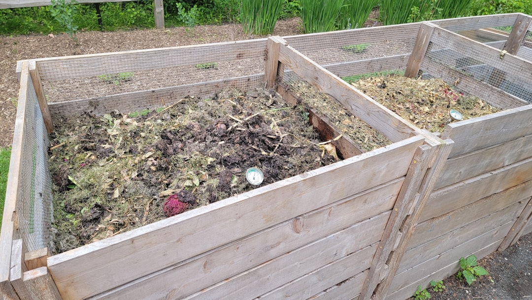 10 steps to starting a successful composting bin
