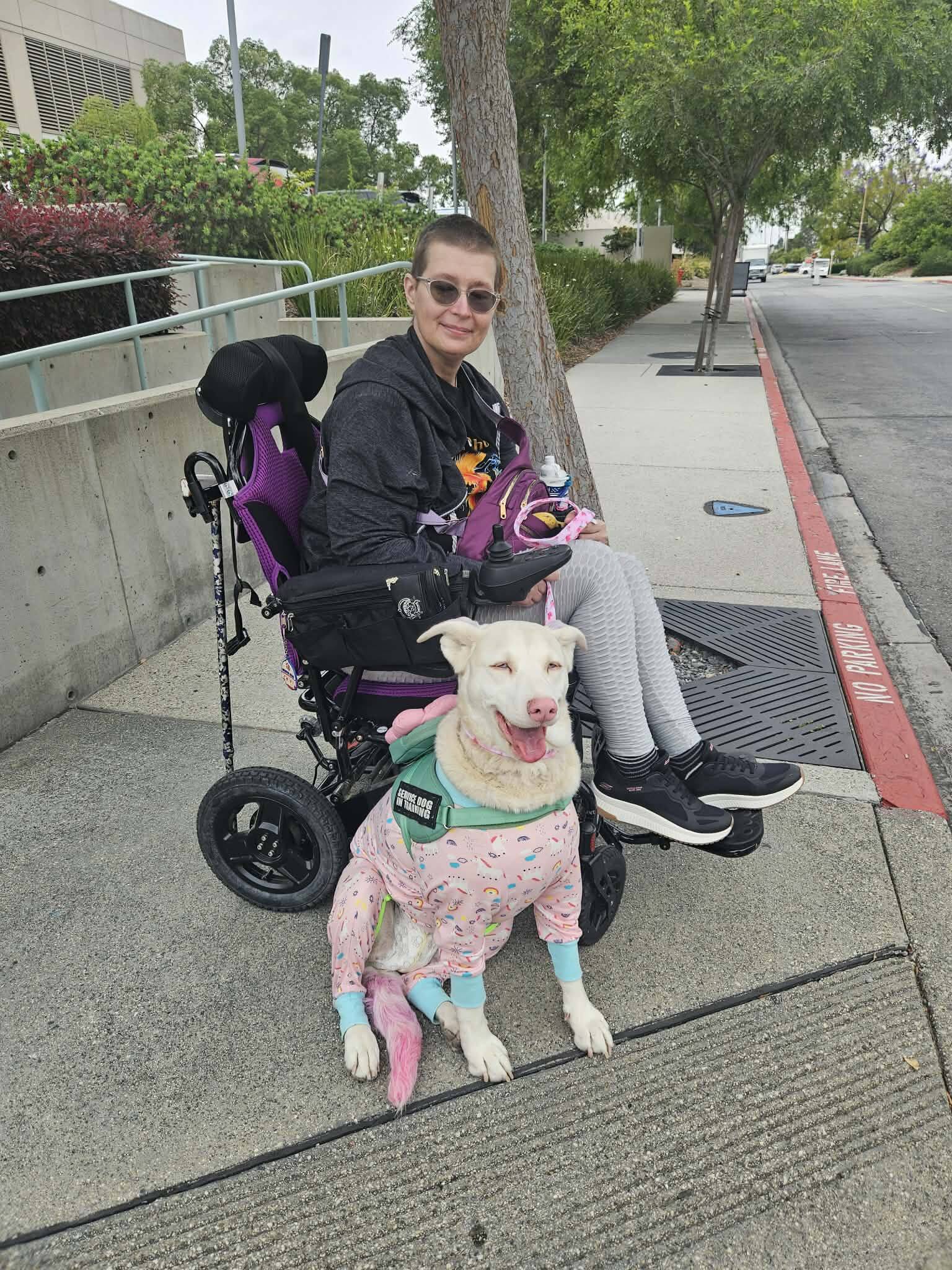 3 rescue pets who changed their peoples' lives — giving comfort when ...