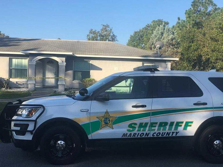More than 50 arrested in Marion County child sex predator sting