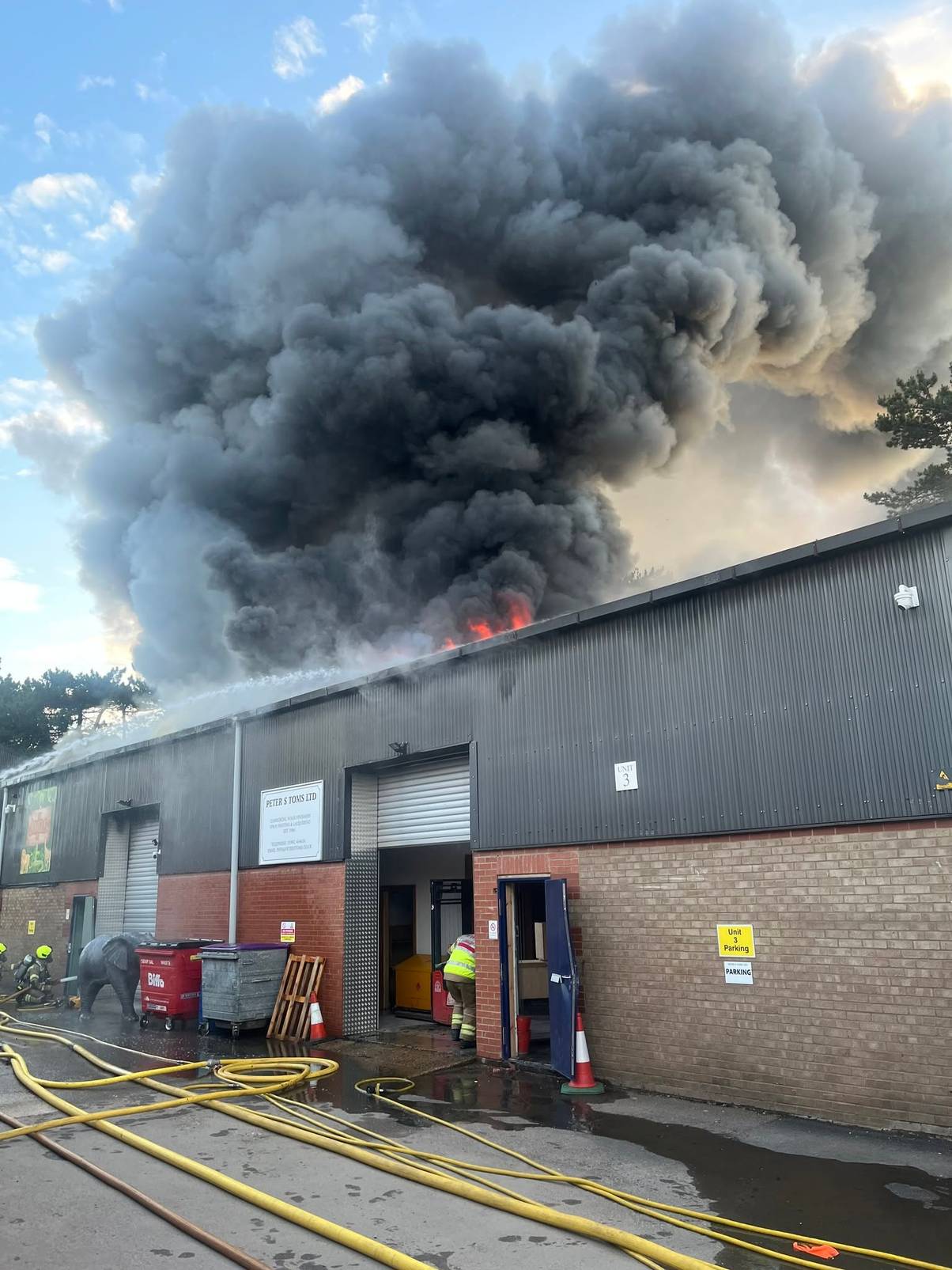 Horrific fire blazes through children's zoo killing almost all animals ...