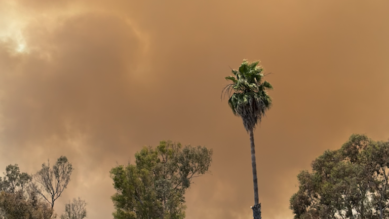 Camp Pendleton fire update: Evacuations lifted