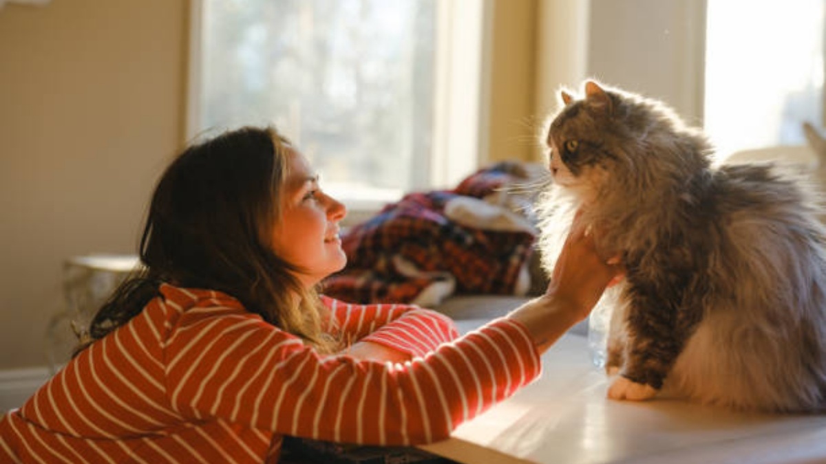 What your cat is trying to tell you when it follows you everywhere