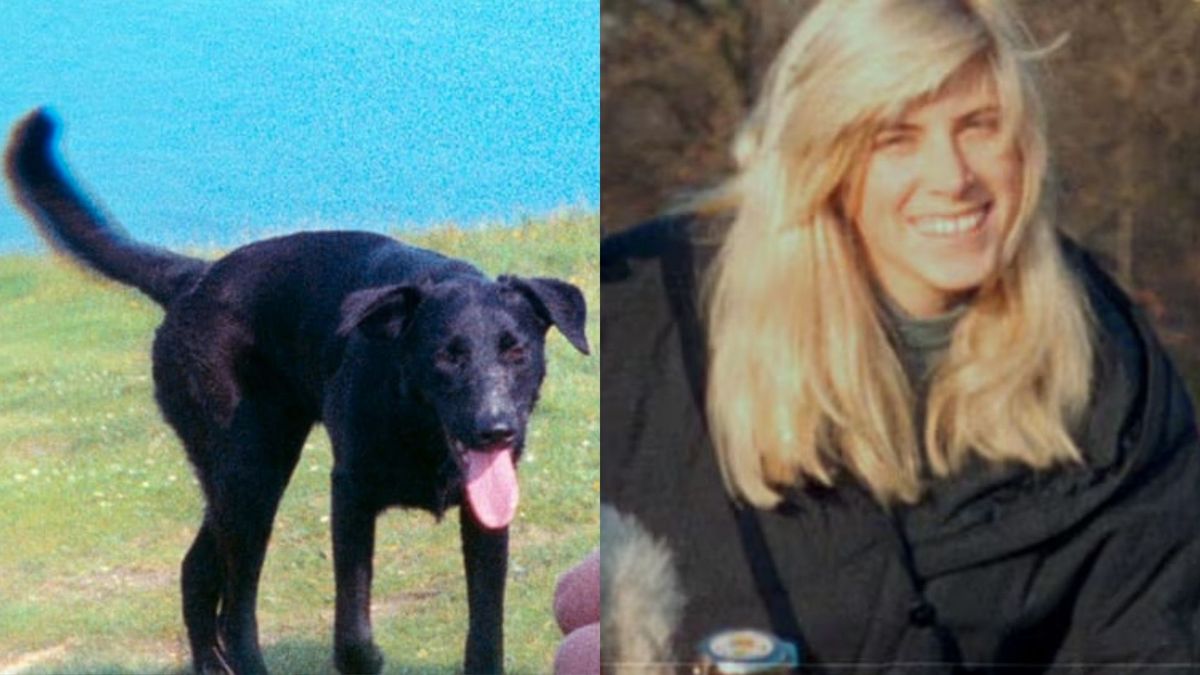 El testigo en Netflix: qué pasó con Molly, la perra que acompañaba a ...