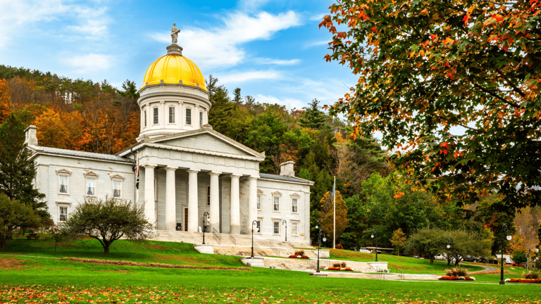 Vermont becomes first US state to restrict herbicide linked to ...
