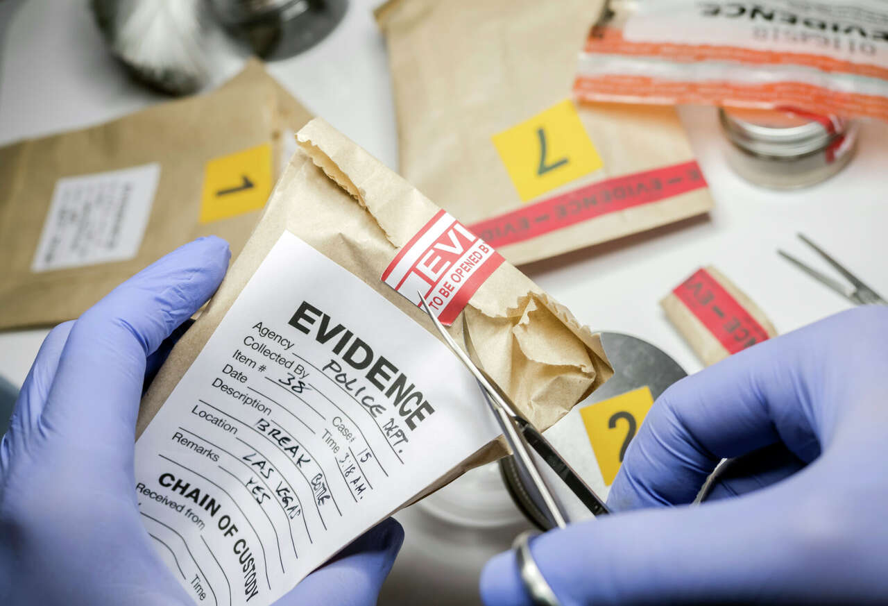 At least 4 sets of human remains found at Genesee County property ...