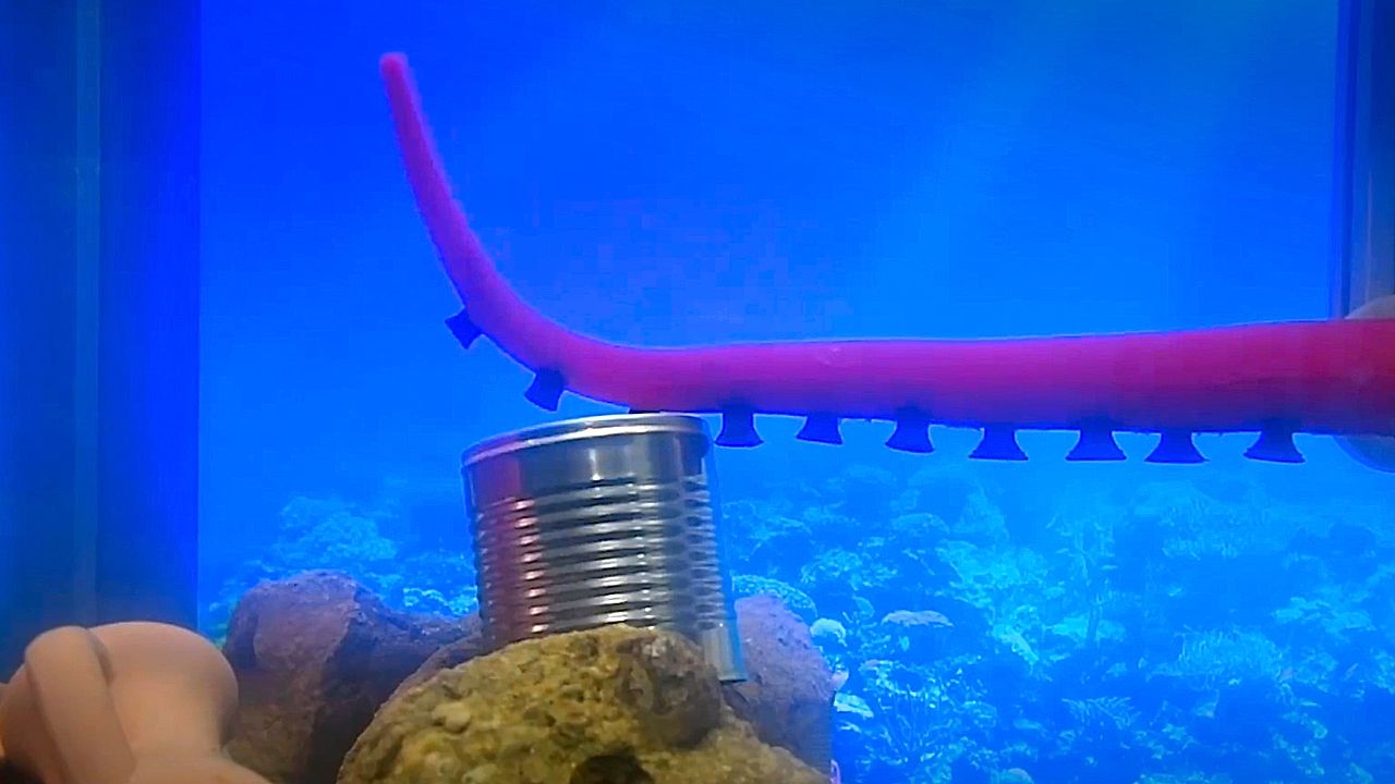 Octopus robot arm can grip and sense objects in air and underwater