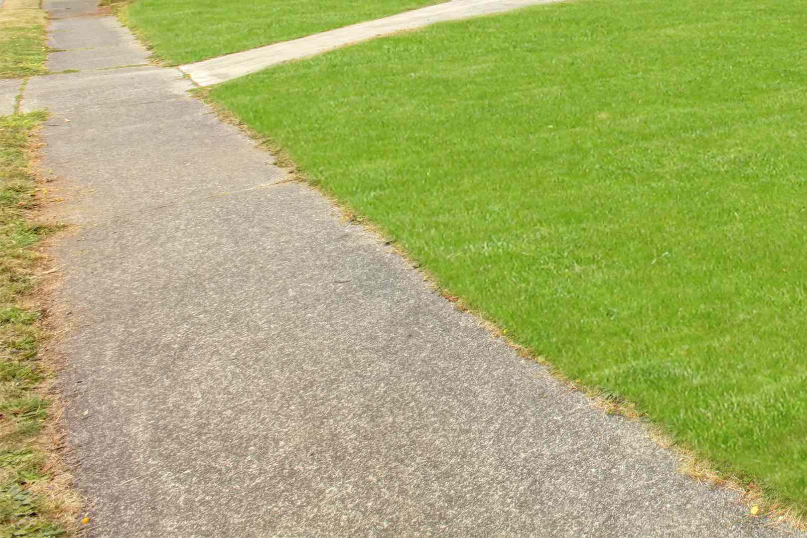 How to fix brown grass along sidewalks and driveways, according to a ...