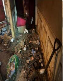 Smith County woman wanted after 38 dogs found in poor living conditions