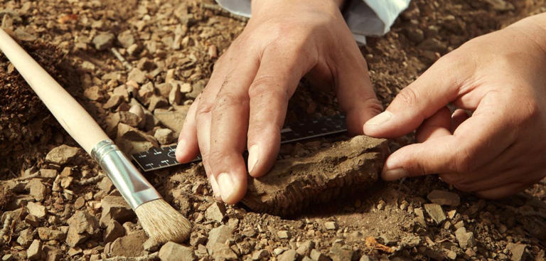 Archäologie: Bayerische Forscher entdecken extrem seltene Spuren aus ...